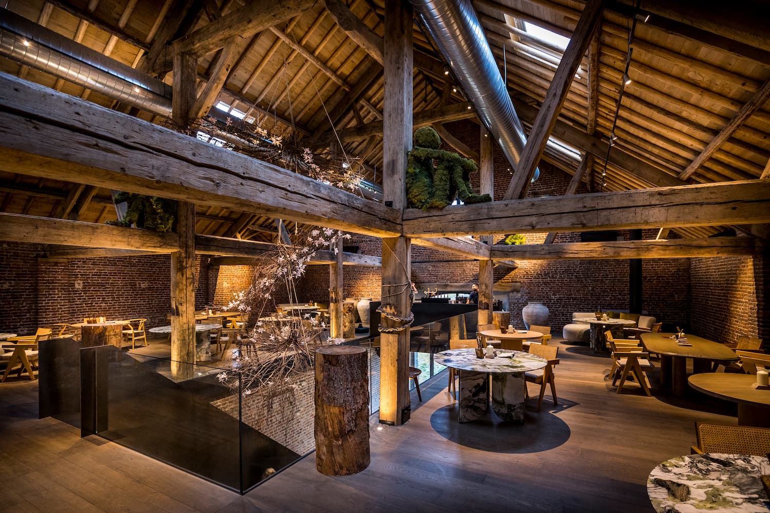 Geschirrspülern in Sternerestaurant | RHIMA Deutschland GmbH